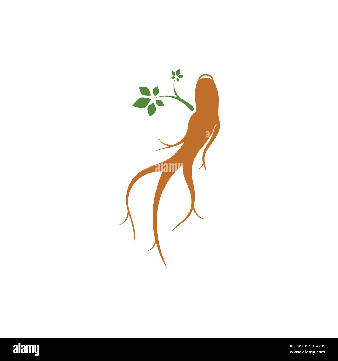 Ginseng symbol hi-res stock photography and images - Alamy