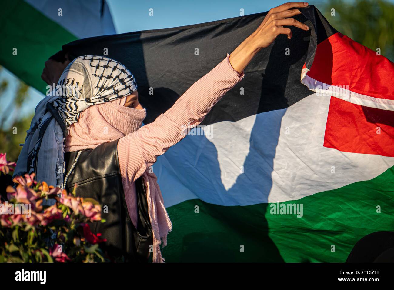 101323 palestinebako hi-res stock photography and images - Alamy
