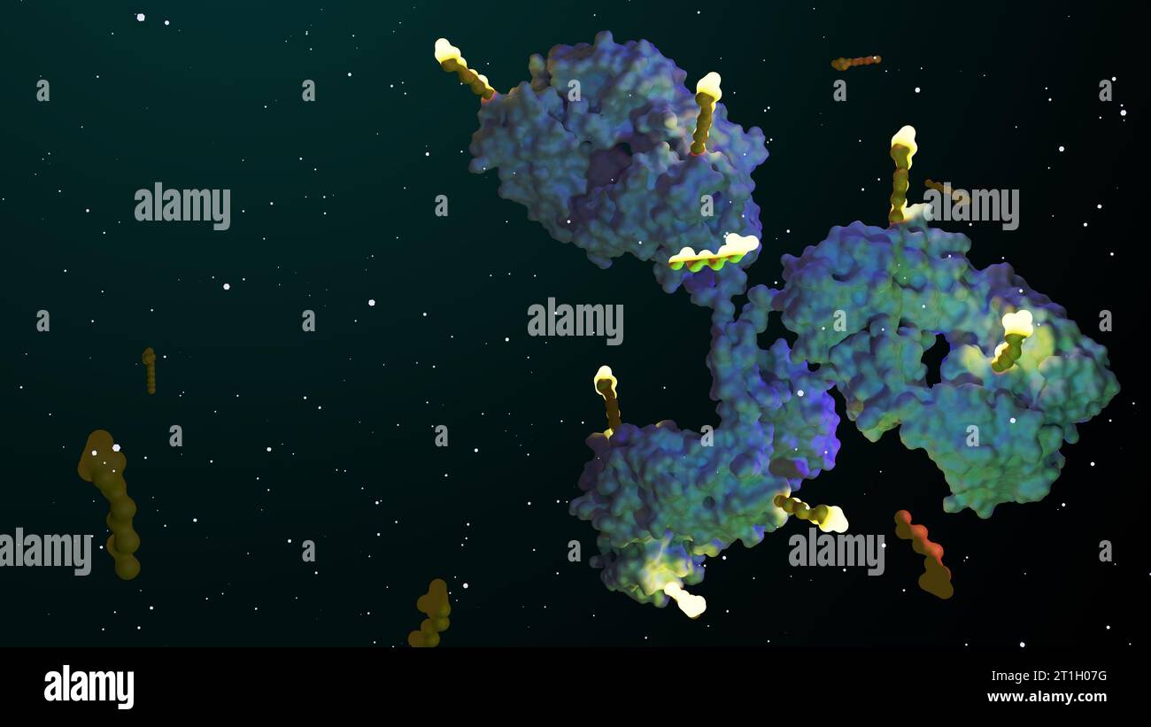Antibody drug conjugates (ADCs) are targeted medicines that deliver ...