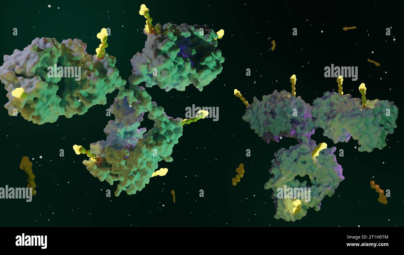 Antibody drug conjugates (ADCs) are targeted medicines that deliver ...