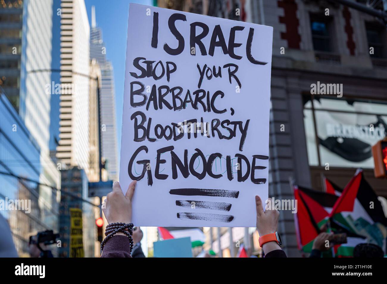 NEW YORK, NEW YORK - OCTOBER 13: A pro-Palestinian sign is held high ...