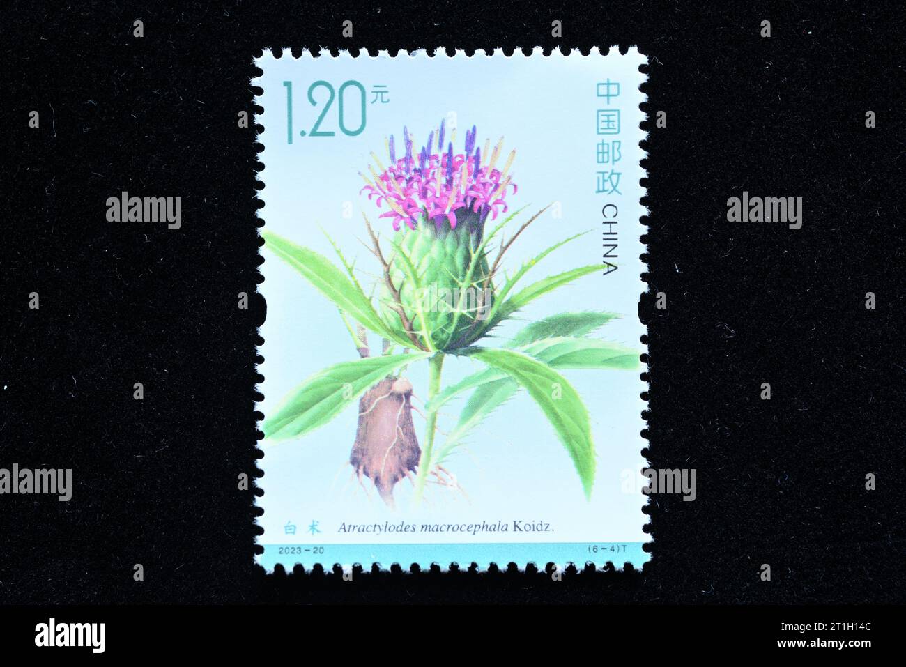 CHINA - CIRCA 2023: A stamps printed in China shows 2023-20 Medicinal ...