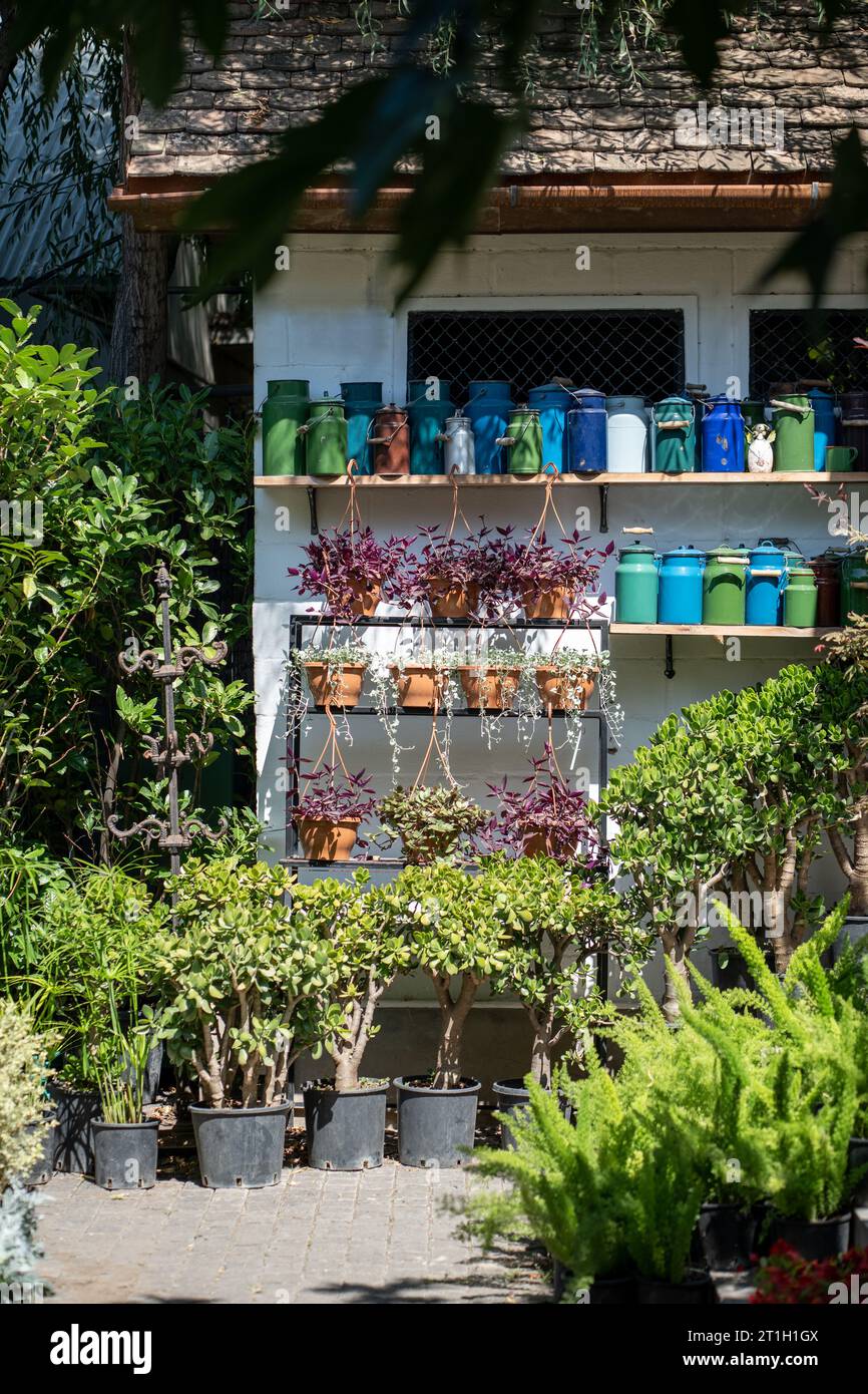 Small shop selling plants in open air. Cozy flower shop trading ...