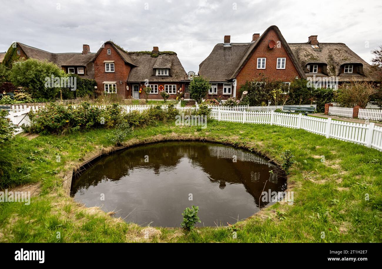 PRODUCTION - 29 September 2023, Schleswig-Holstein, Hallig Langeneß: A ...