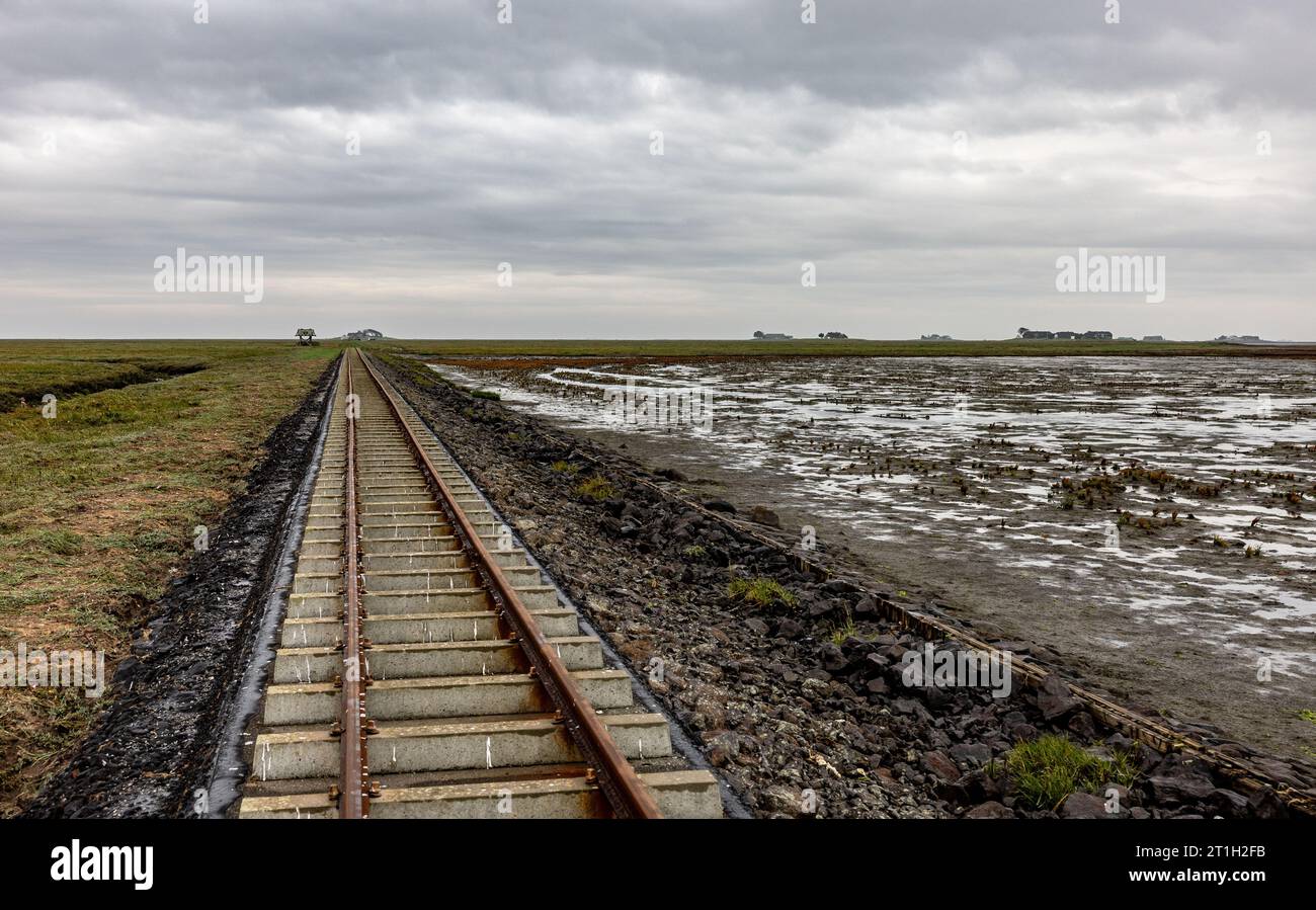 PRODUCTION - 29 September 2023, Schleswig-Holstein, Hallig Langeneß: A ...