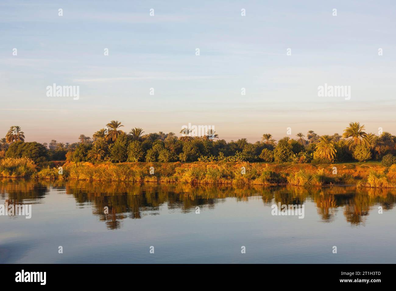 Landscape with palm trees on the Nile, Nile bank, Egypt Stock Photo - Alamy
