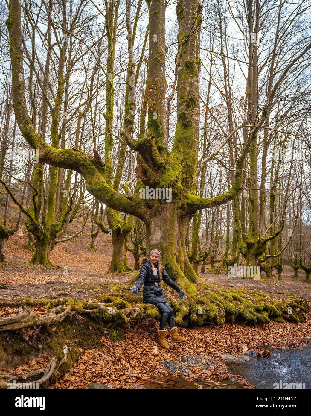 Young blonde girl sitting in a beautiful winged tree of a river in a ...