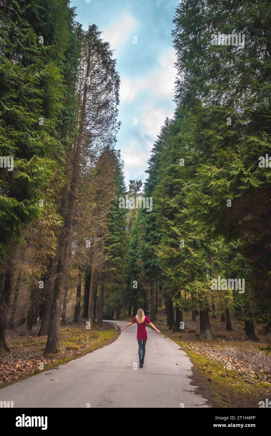 A young blonde in a red dress in a giant pine forest. Lifestyle session ...