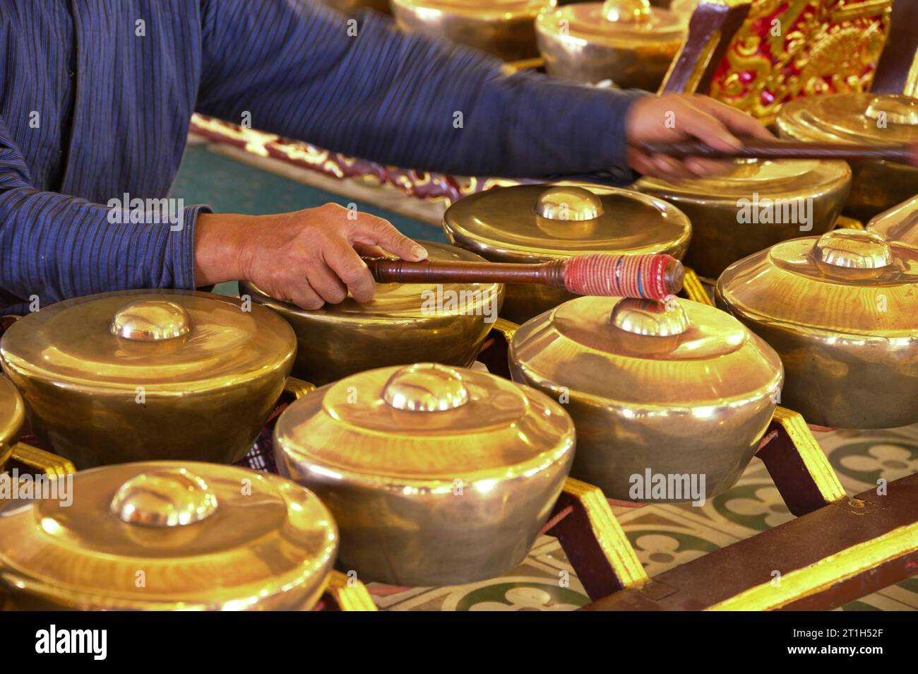 Person holding traditional musical instruments hi-res stock photography ...