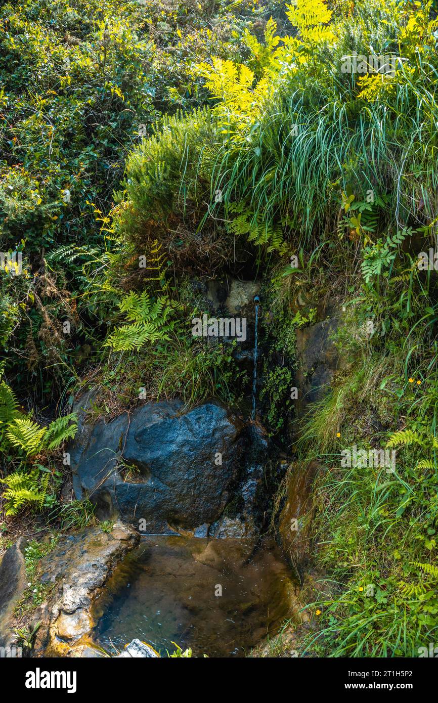 Monte Ulia in the city of San Sebastian, Basque Country. Visit the ...