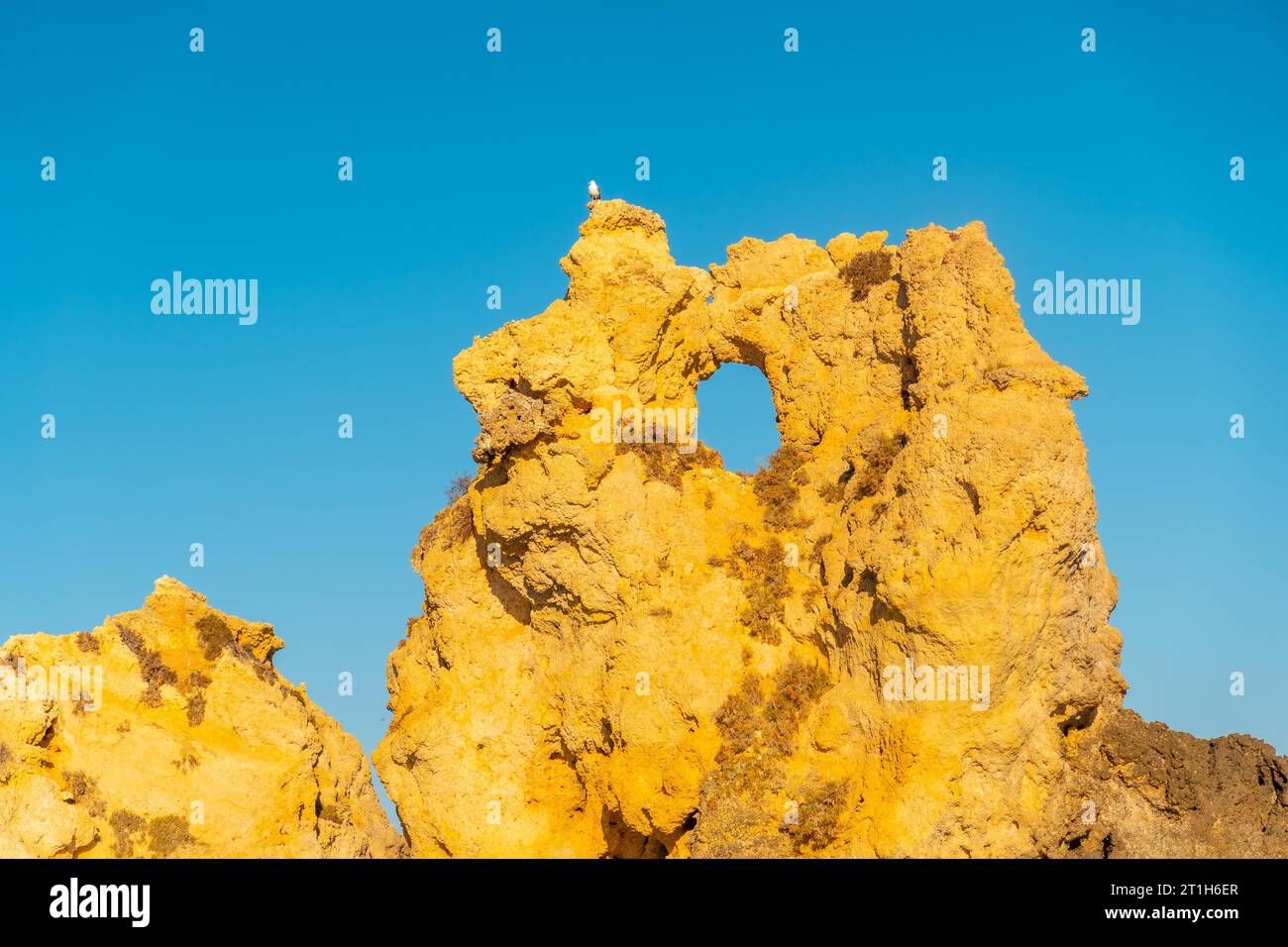 Detail of the rocks at Praia dos Arrifes, Algarve beach, Albufeira ...