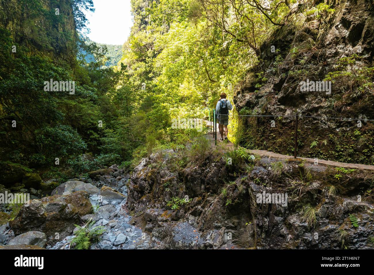 Trekking path next to the waterfall in the Levada do Caldeirao Verde ...
