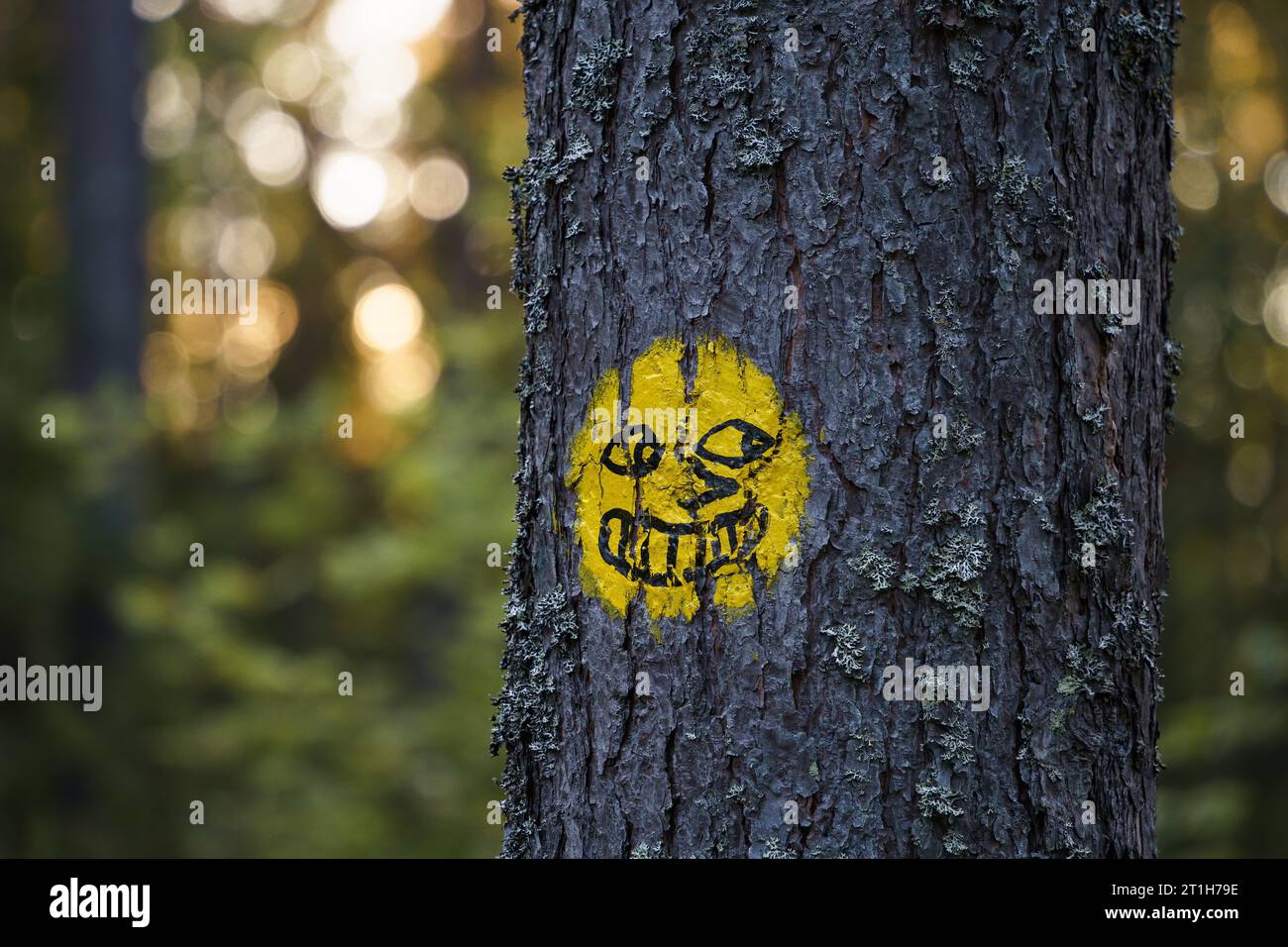 Yellow trail marker with a face on a pine tree in Southern Konnevesi ...