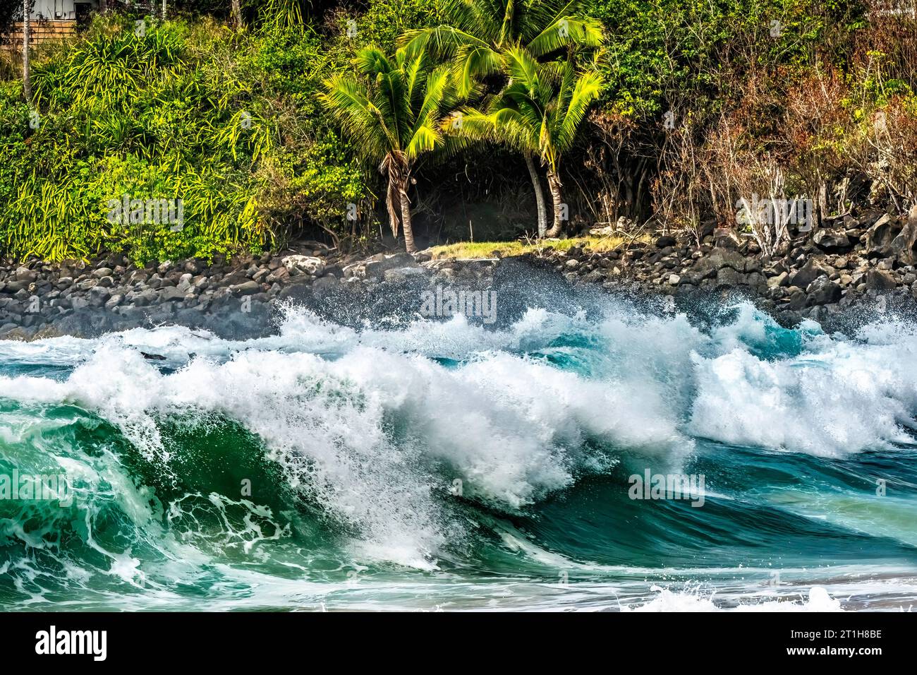 Large Waves Rock Vegetaion Waimea Bay North Shore Oahu Hawaii. Waimea ...