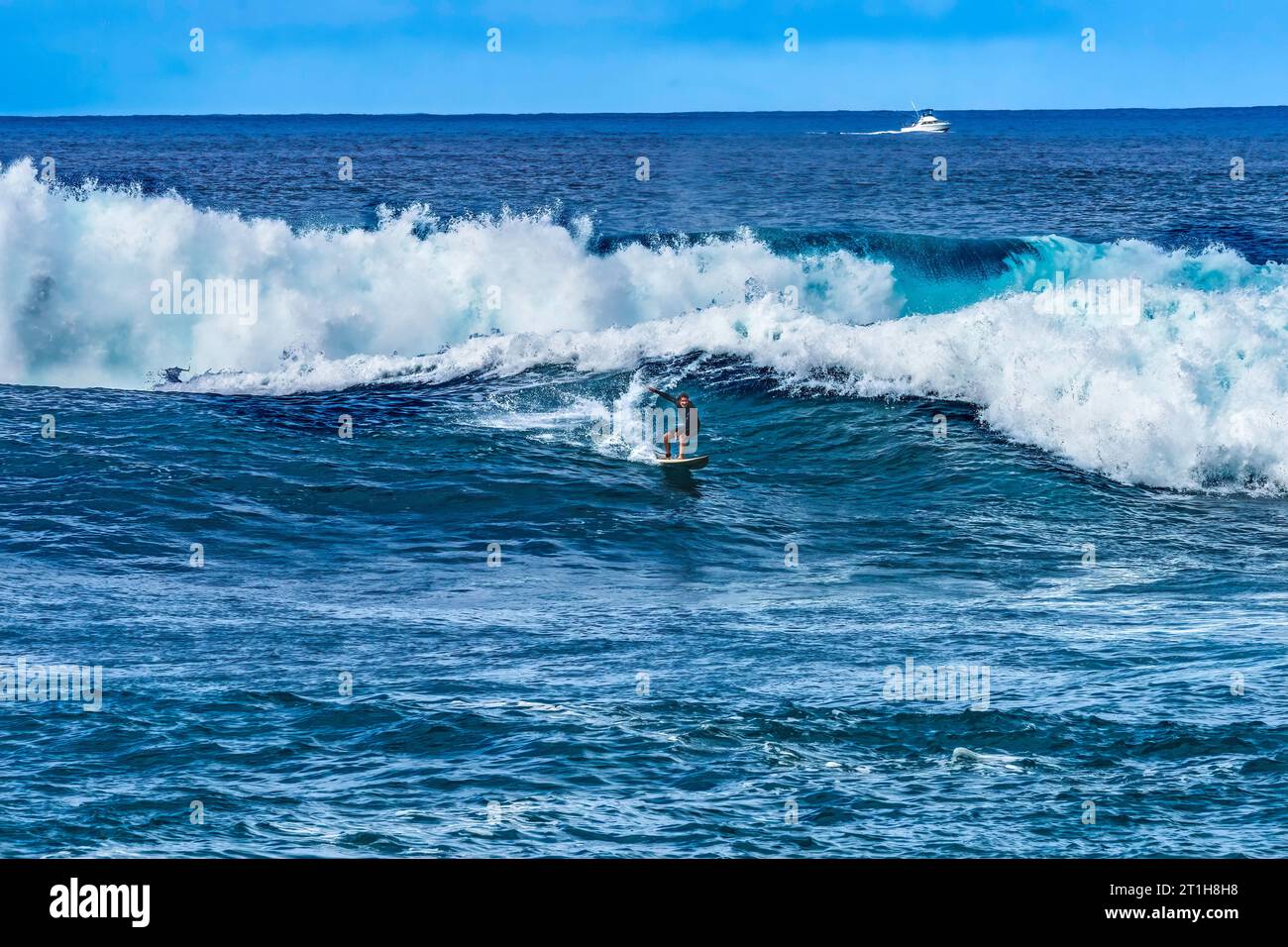 Surfer Surfing Large Wave Waimea Bay North Shore Oahu Hawaii. Waimea ...