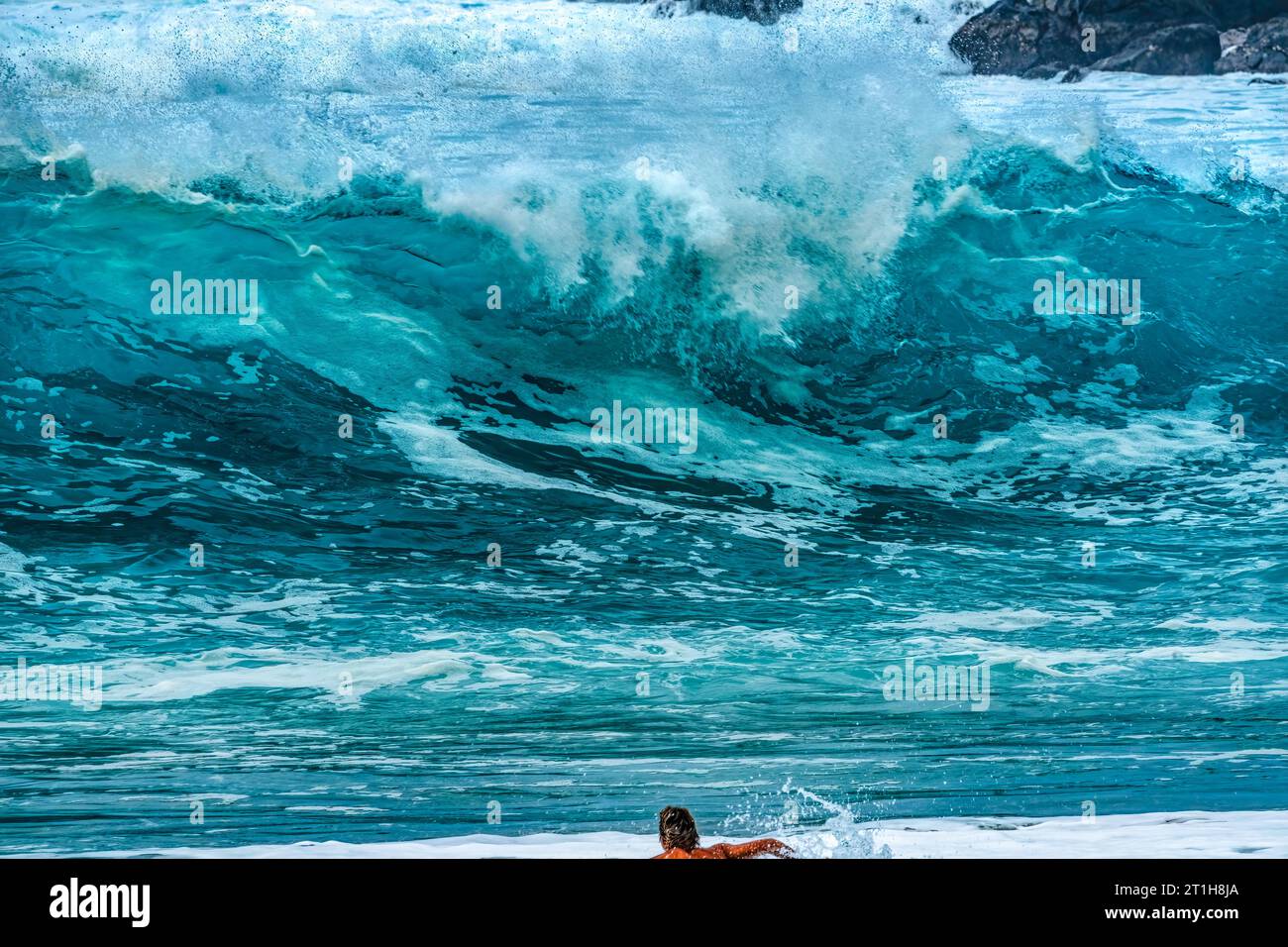 Surfer Paddling Out Large Wave Waimea Bay North Shore Oahu Hawaii ...