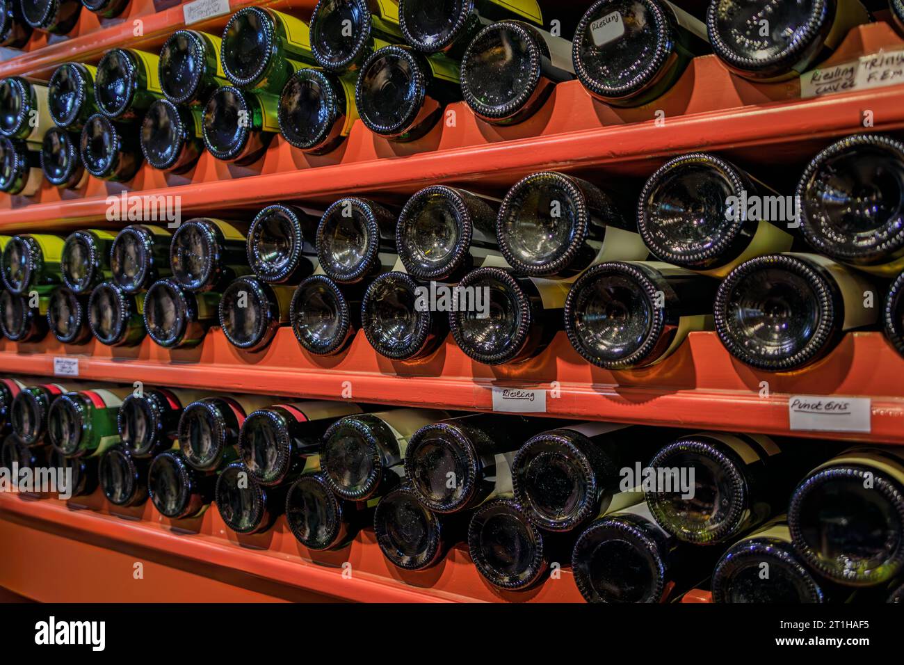 Bottles of traditional Alsatian white wine from local wineries lined up ...