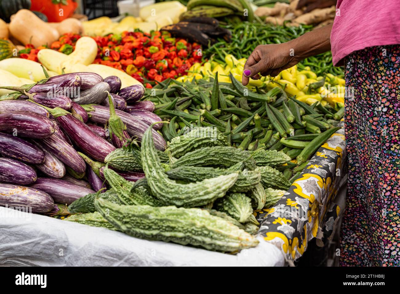 A vibrant display of vegetables, including striped eggplants, ridged ...