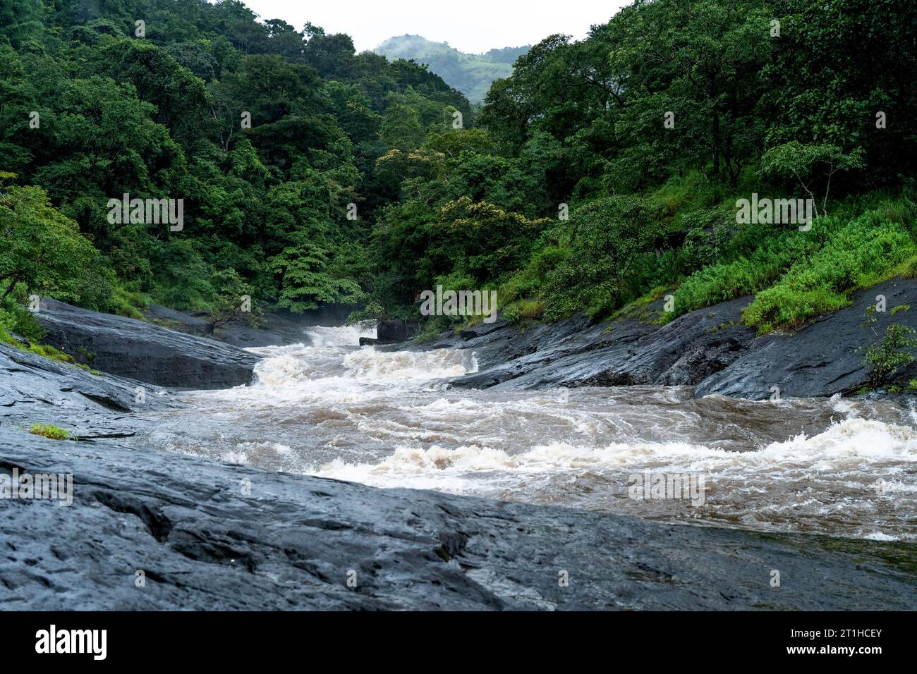Kozhippara Falls also known as Kakkadampoyil Falls is a waterfalls in ...