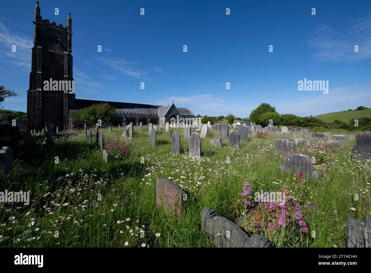 Graveyard with Daisies, St Peter's Church, Ugborough, Devon, England ...