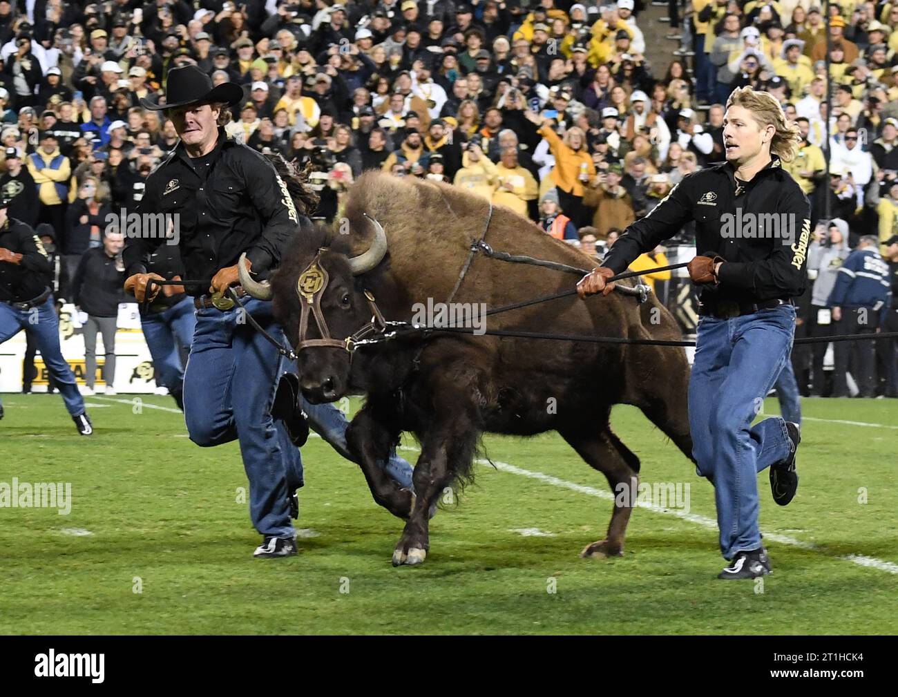 Ralphie hi-res stock photography and images - Alamy