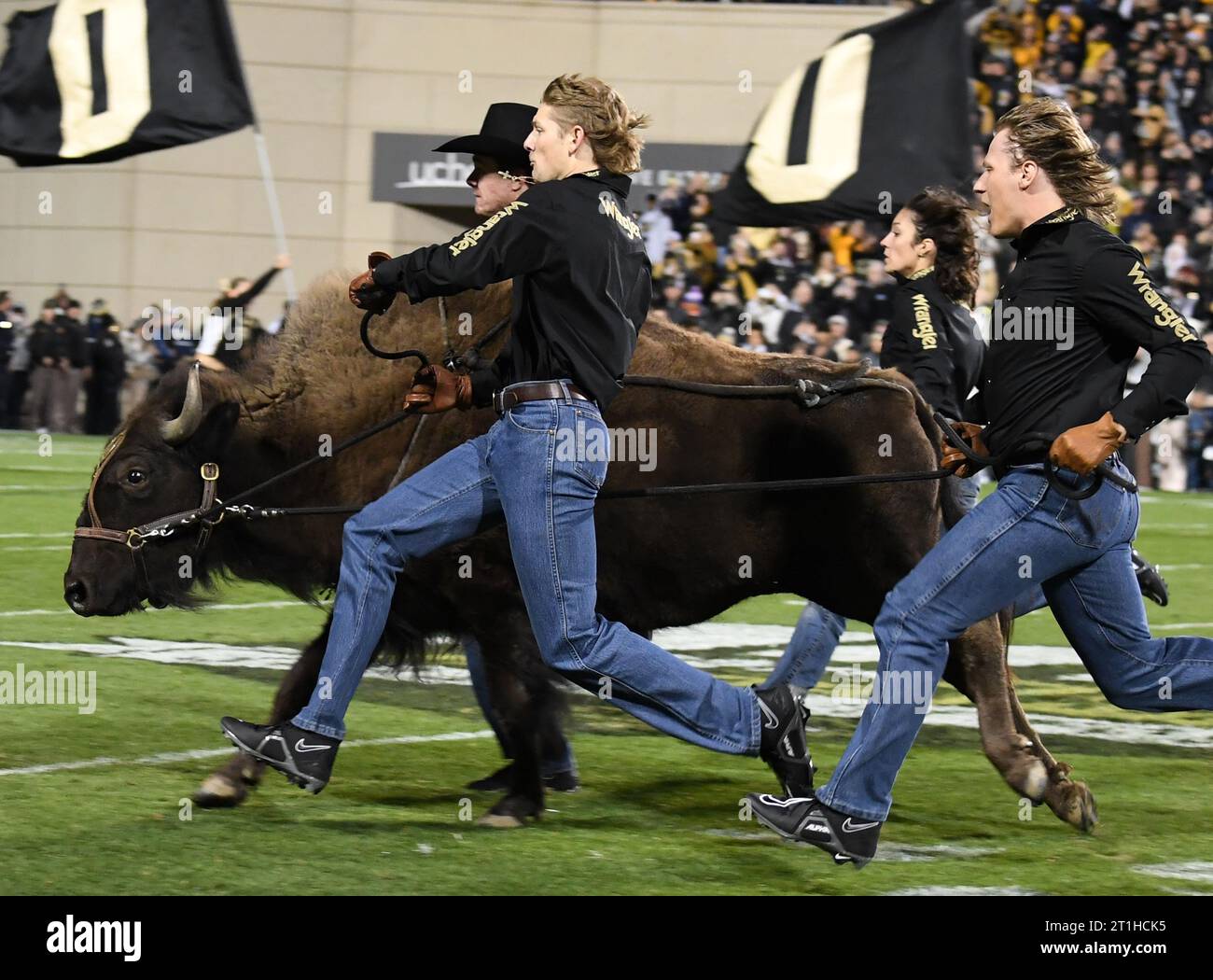 Ralphie hi-res stock photography and images - Alamy