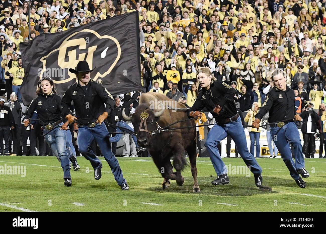 Ralphie colorado buffalo hi-res stock photography and images - Alamy