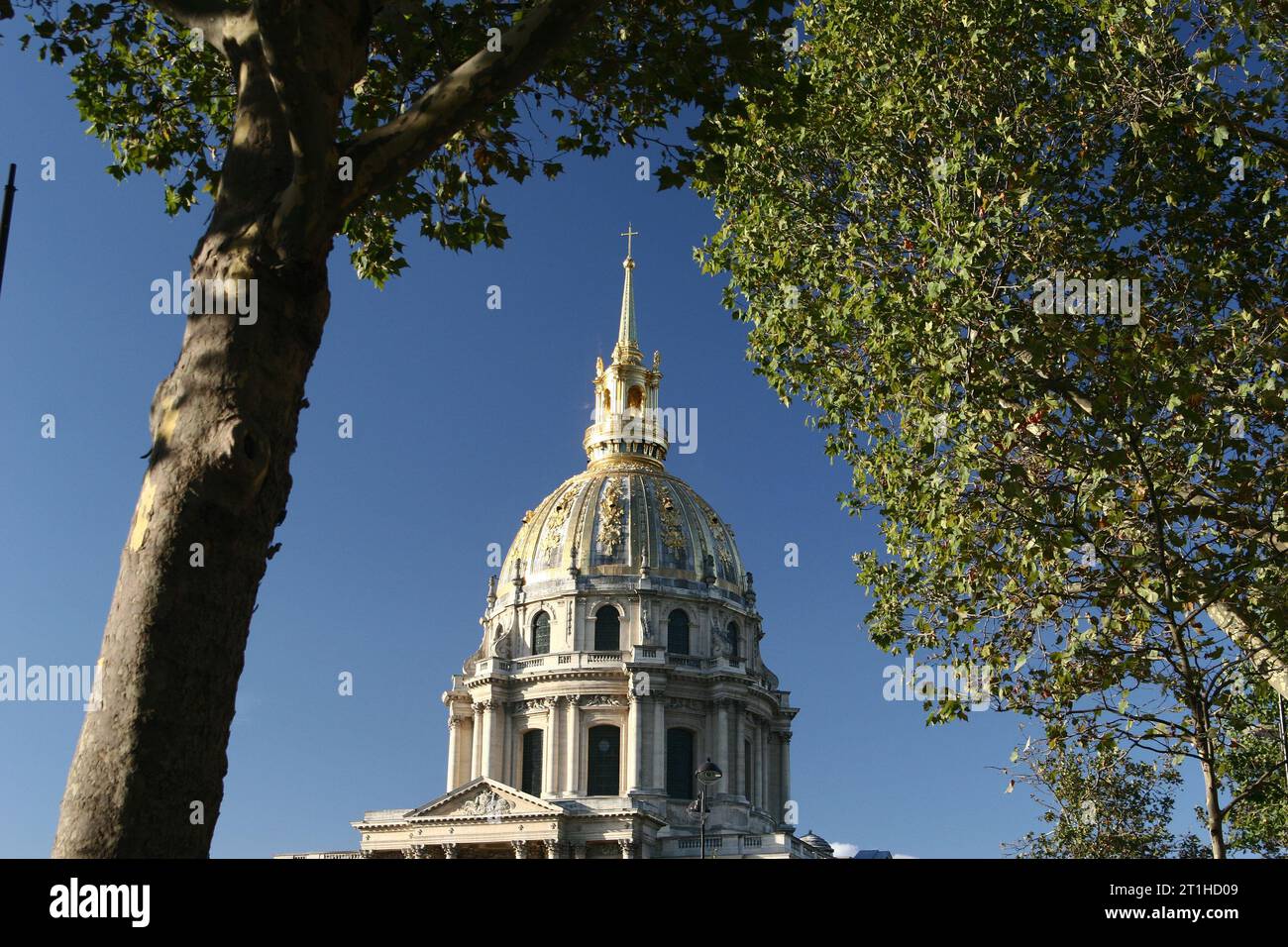the invalide building in Paris. Shot of the roof inbetween two trees ...