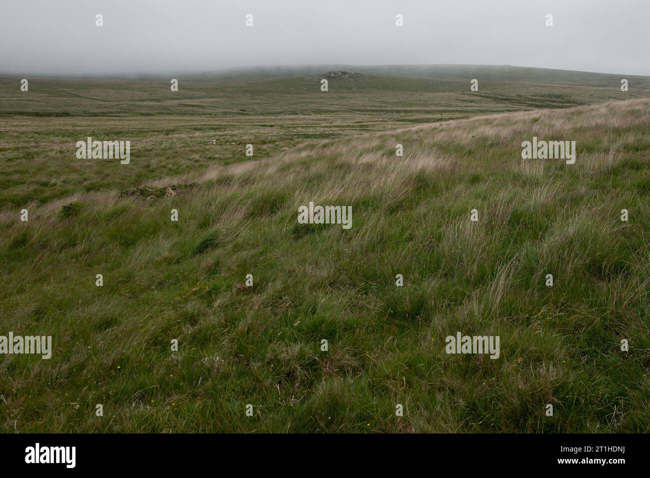 Moors in low cloud, Dartmoor National Park, Devon, England, UK Stock ...