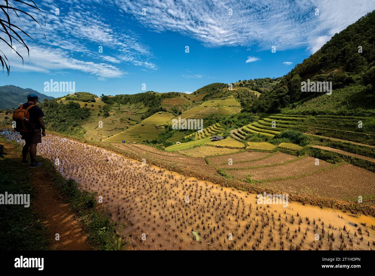 Trekking above the amazing rice terraces of Mu Cang Chai, Yen Bai ...