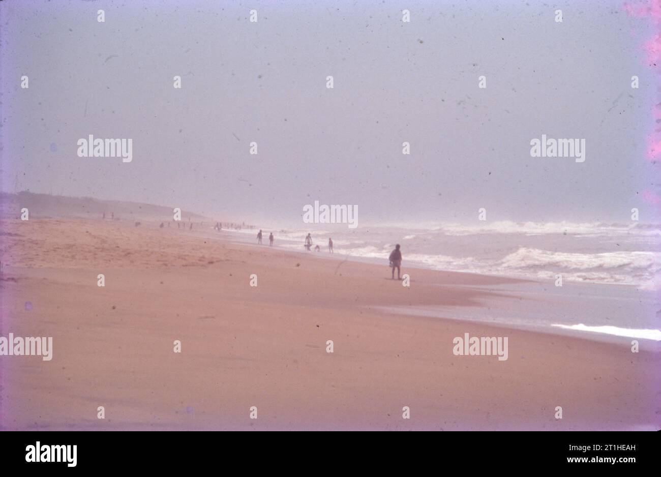 Puri Beach or the Golden beach is a beach in the city of Puri in the ...
