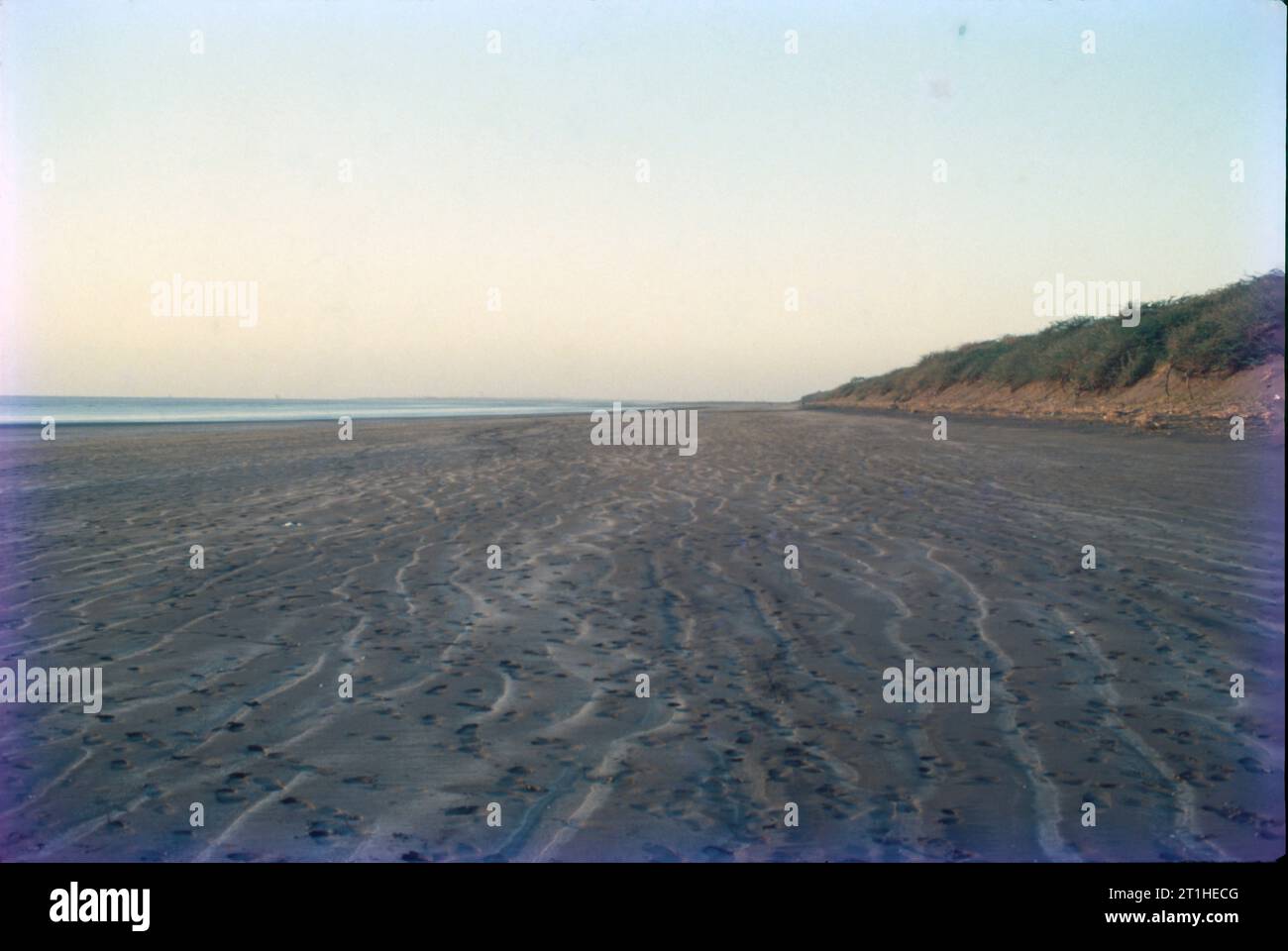 Dandi Beach, Gujrat, India Stock Photo - Alamy