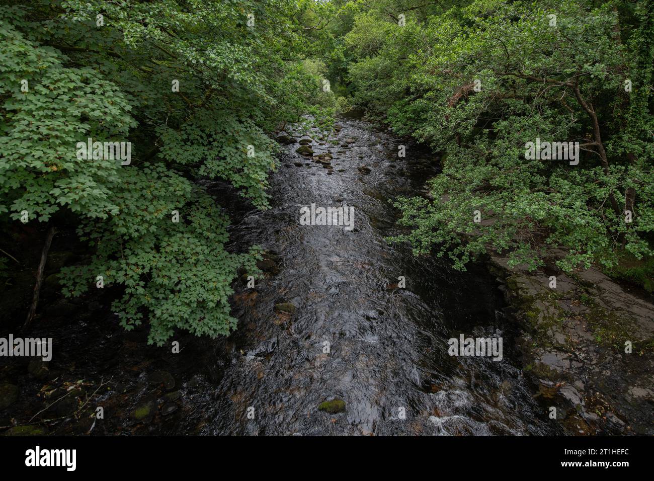 River, Newbridge, Dartmoor National Park, Devon, England, UK Stock ...