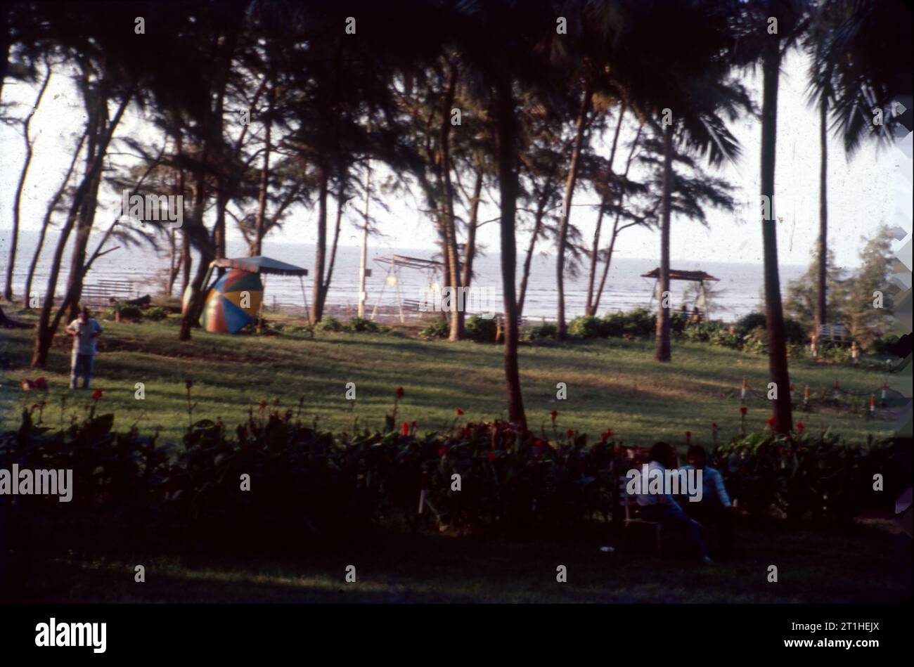 Daman beach hi-res stock photography and images - Alamy