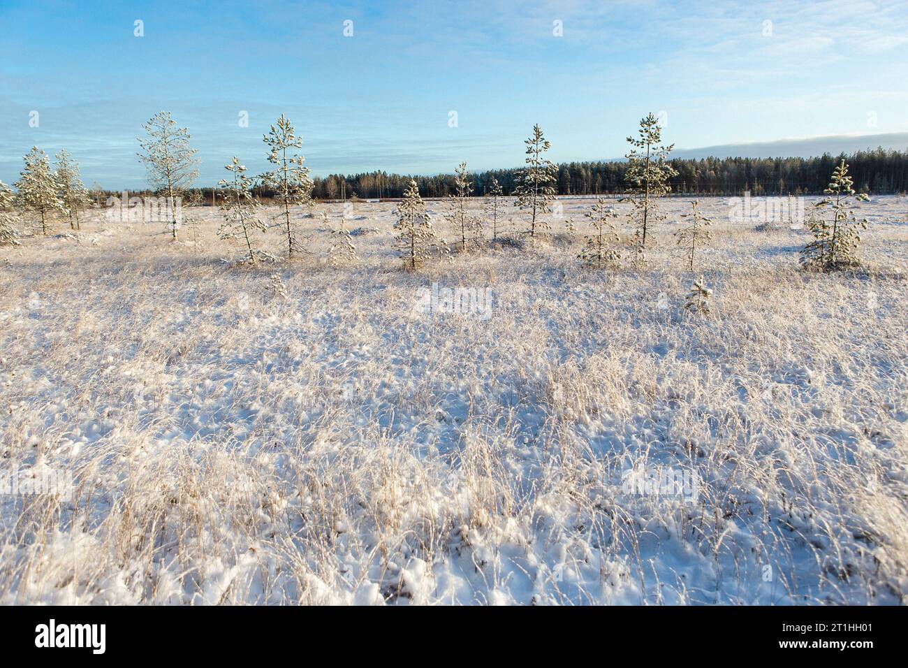 Winter solstice. Sunny tundra in a winter frosty day Stock Photo - Alamy