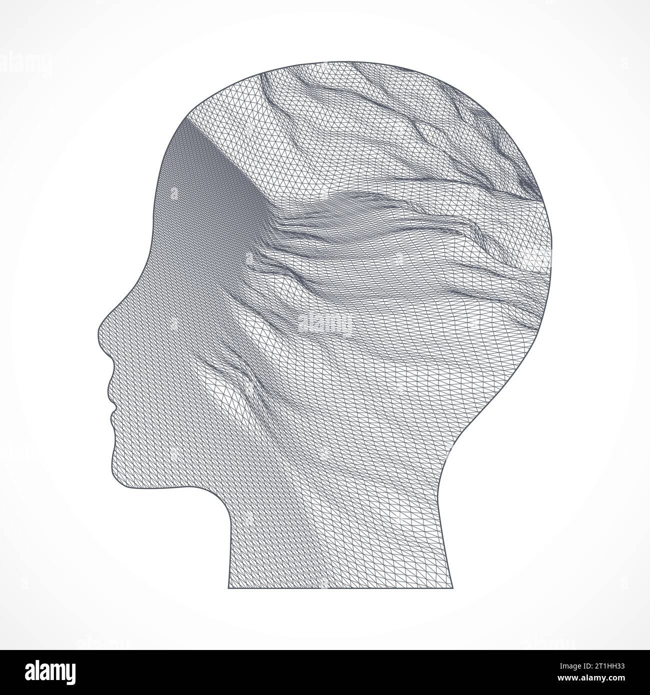 Topography in the contour. The human head is made in the style of a ...