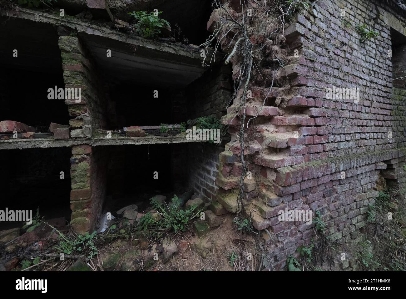 The most interesting deteriorated walls I've come across. Large ...