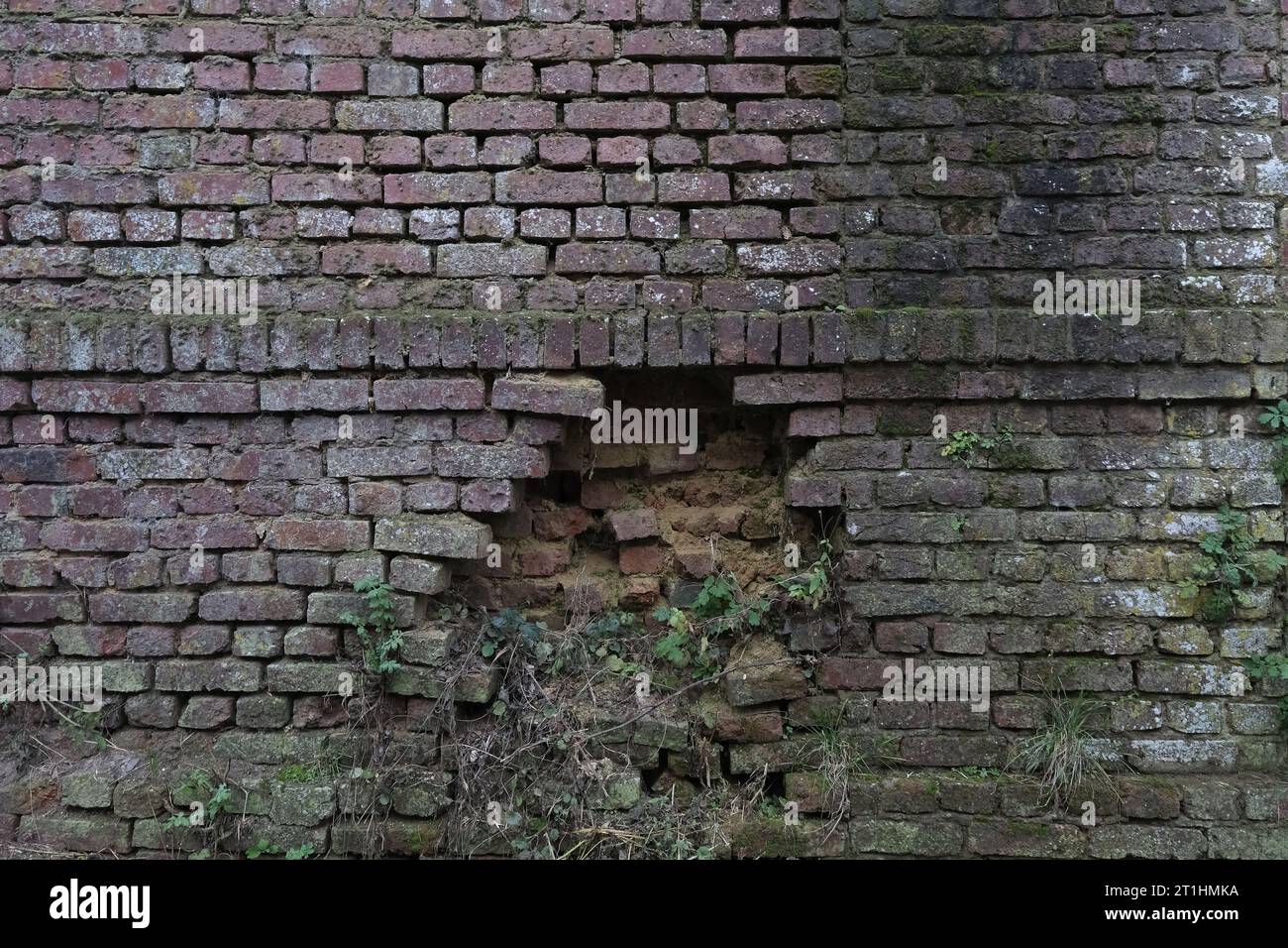 The most interesting deteriorated walls I've come across. Large ...