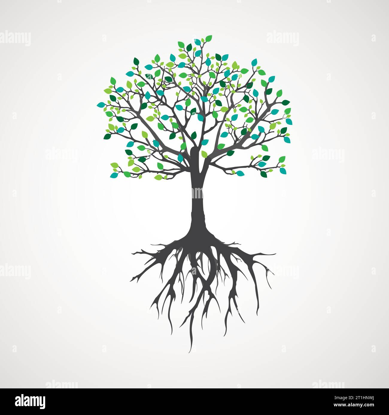 Abstract tree with roots. Vector outline illustration. Plant in Garden ...