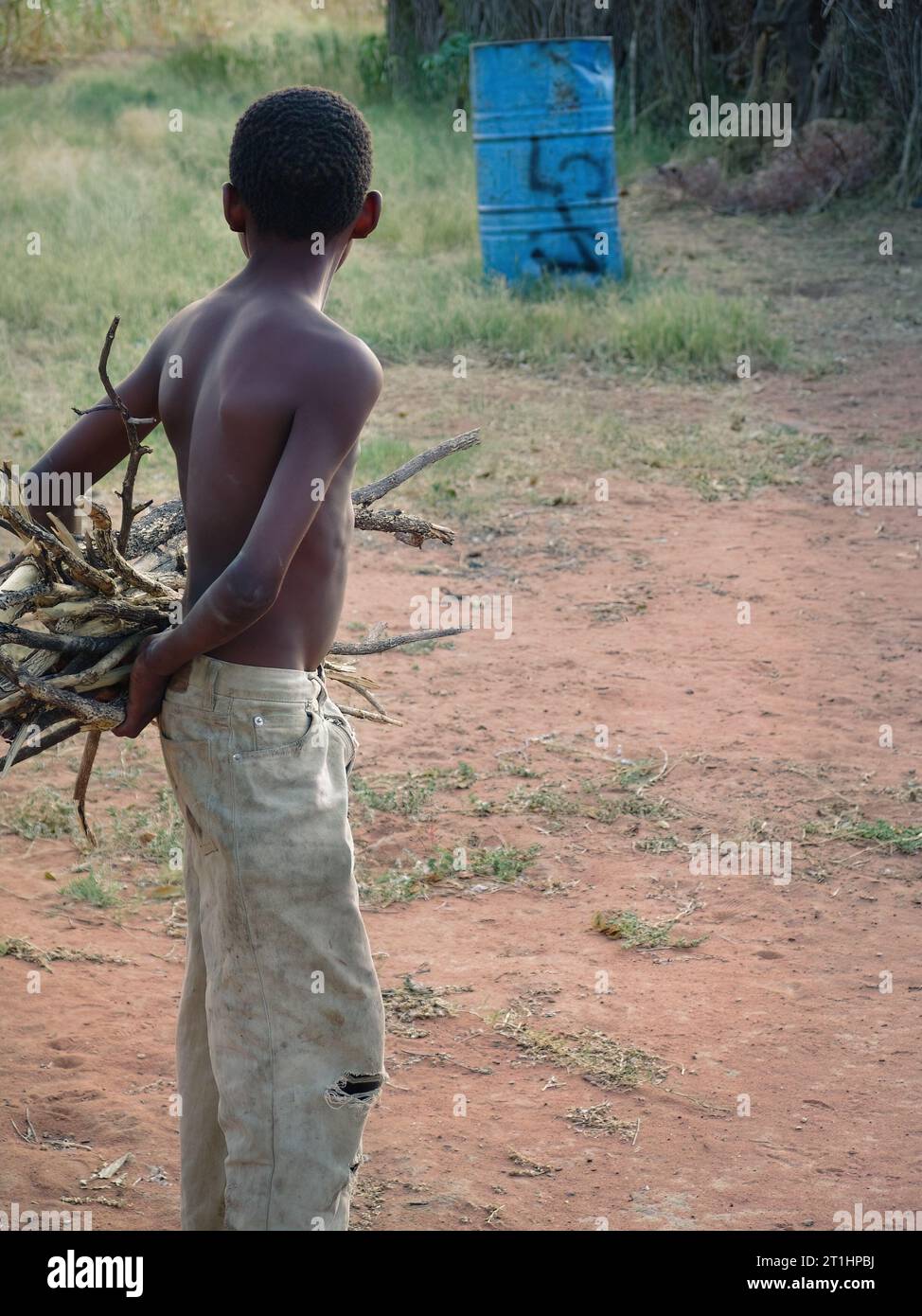 village african child carry wood for cooking at his house in the rural ...