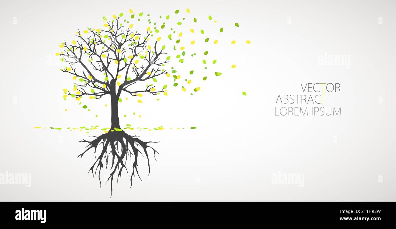 Abstract tree with roots. Vector outline illustration. Plant in Garden ...