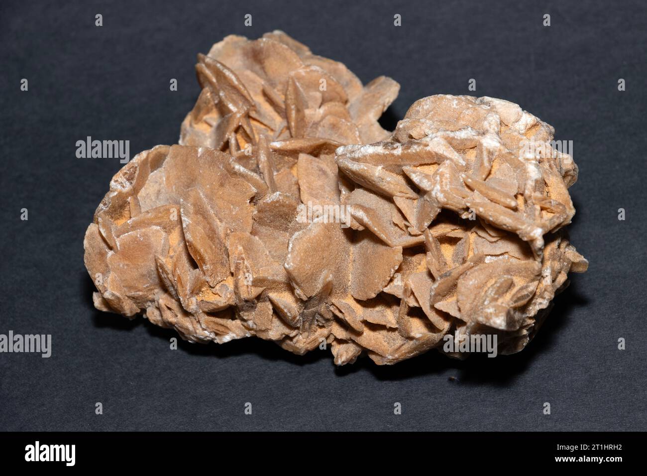 Crystals of Gypsum or Barytes form these distinctive structures known ...