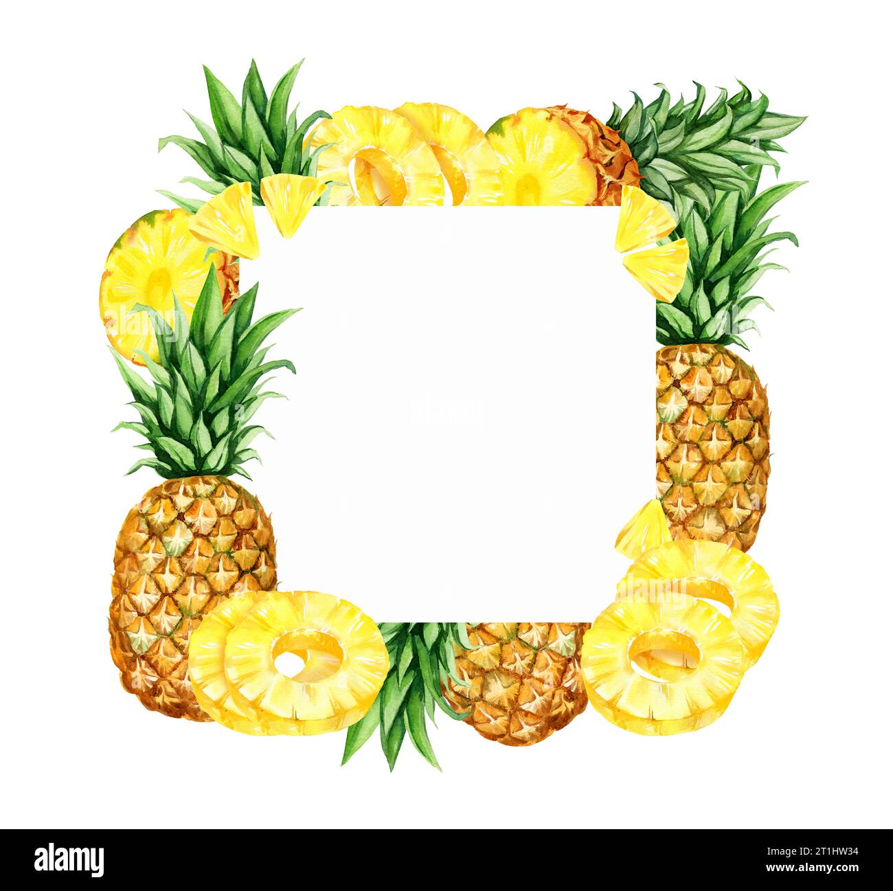 watercolor hand drawn square frame with illustration of pineapple with ...