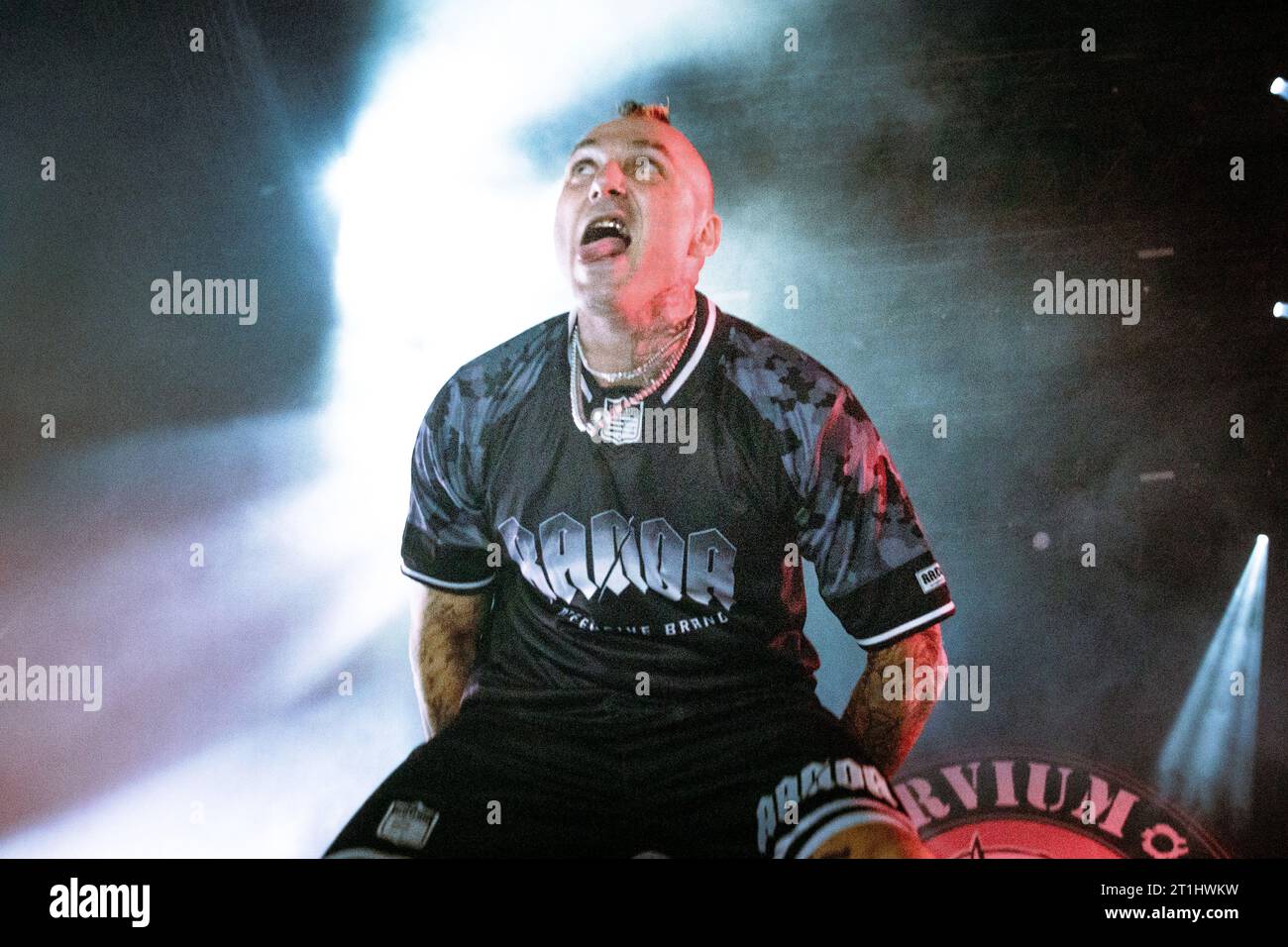 Non servium hi-res stock photography and images - Alamy