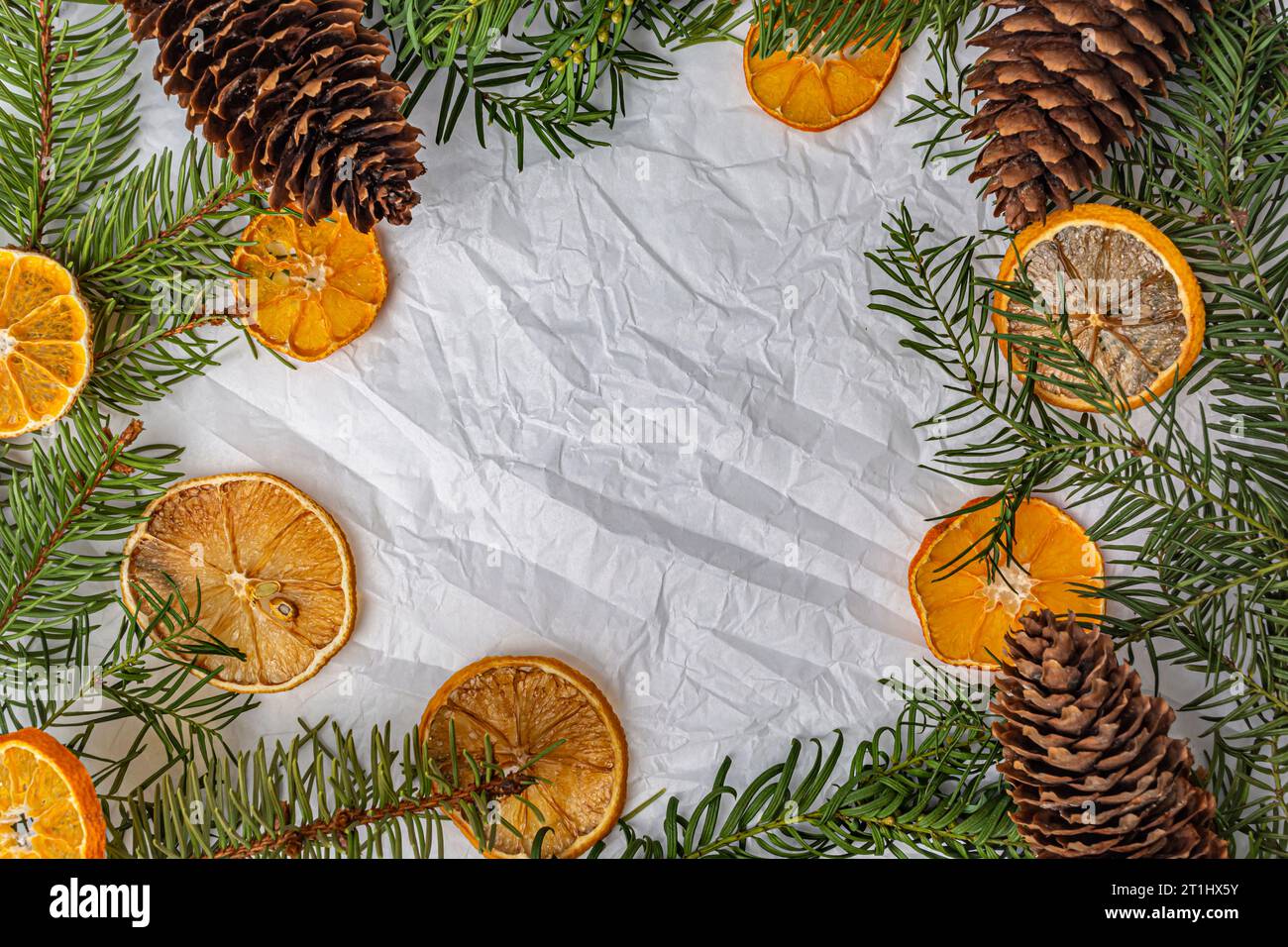 spruce branches, cones and oranges on white crumpled paper Stock Photo ...