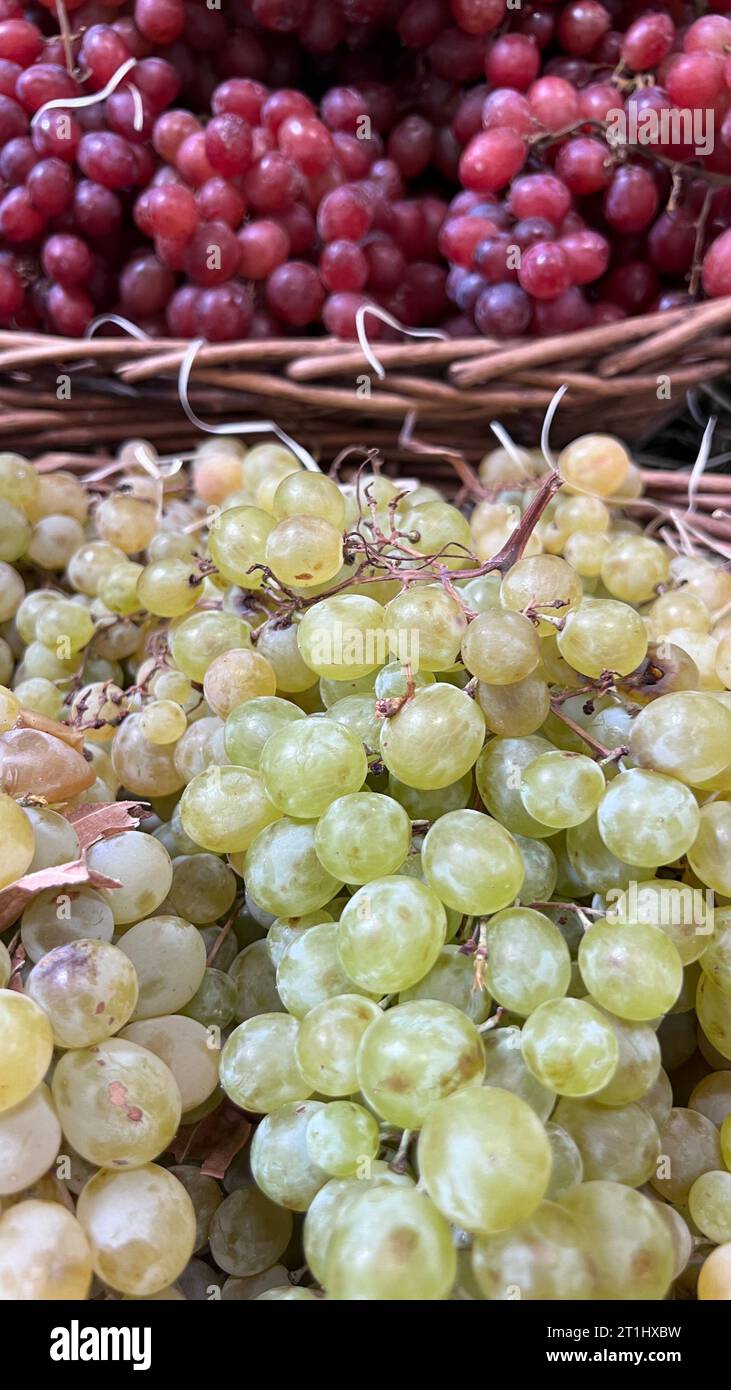 types of grapes on the market Stock Photo - Alamy