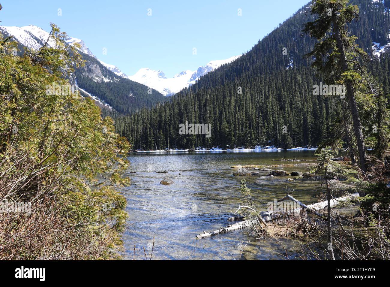 Beautiful View from Above of Seton Lake surrounded by Canadian Mountain ...