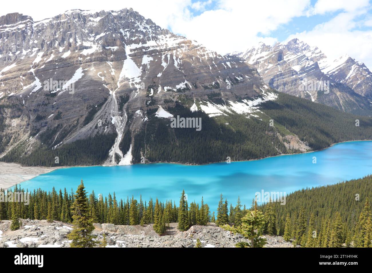 Turquoise Lake Peyto in Banff National Park, Canada. Mountain Lake as a ...
