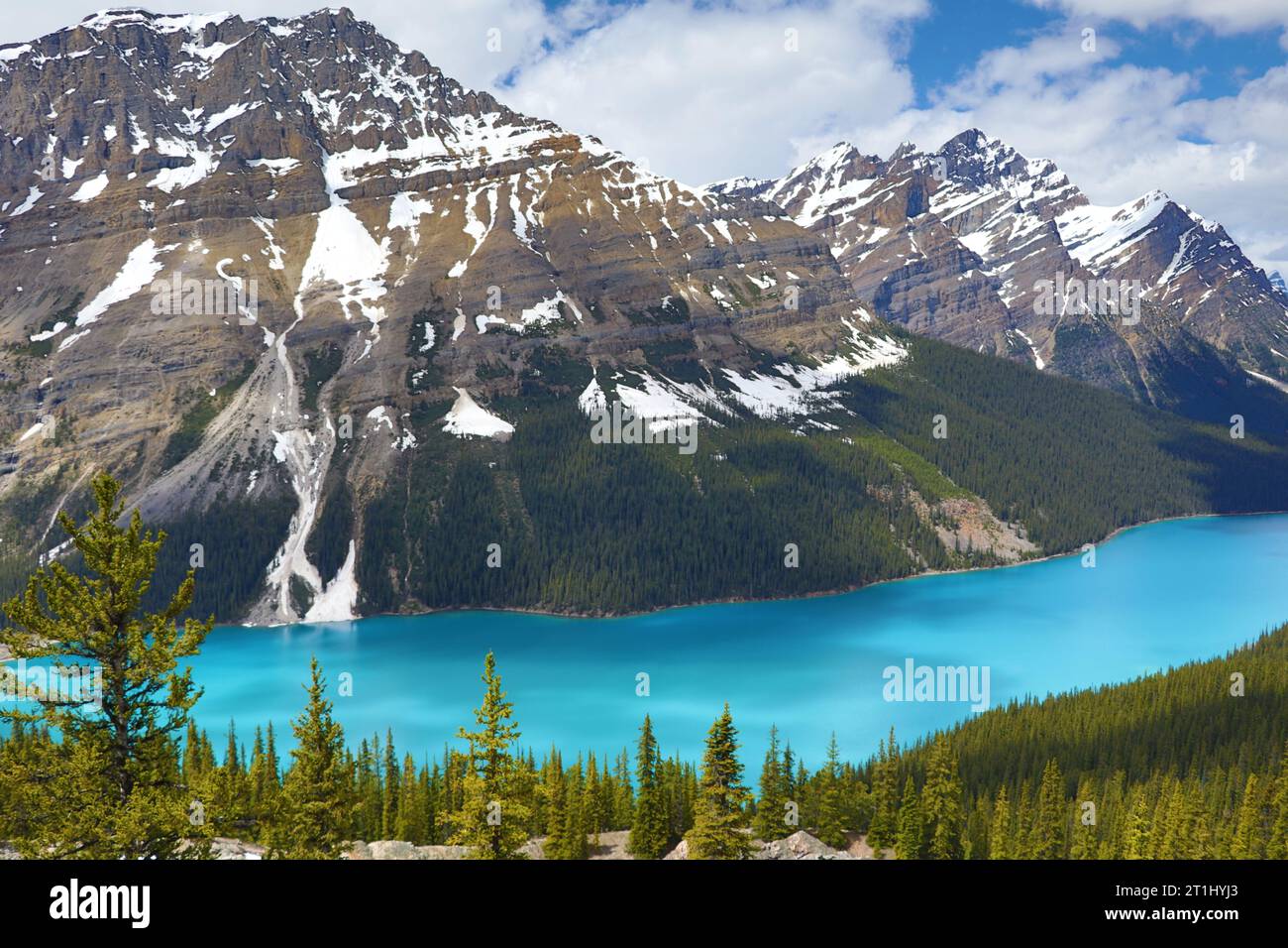 Turquoise Lake Peyto in Banff National Park, Canada. Mountain Lake as a ...