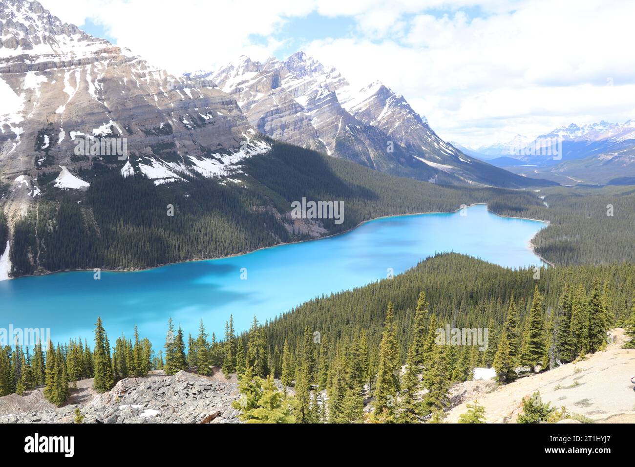 Turquoise Lake Peyto in Banff National Park, Canada. Mountain Lake as a ...